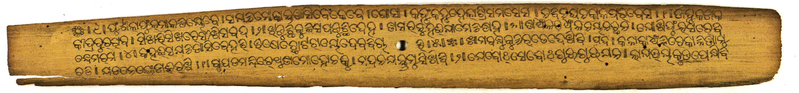 OL/1686 | Odisha State Museum